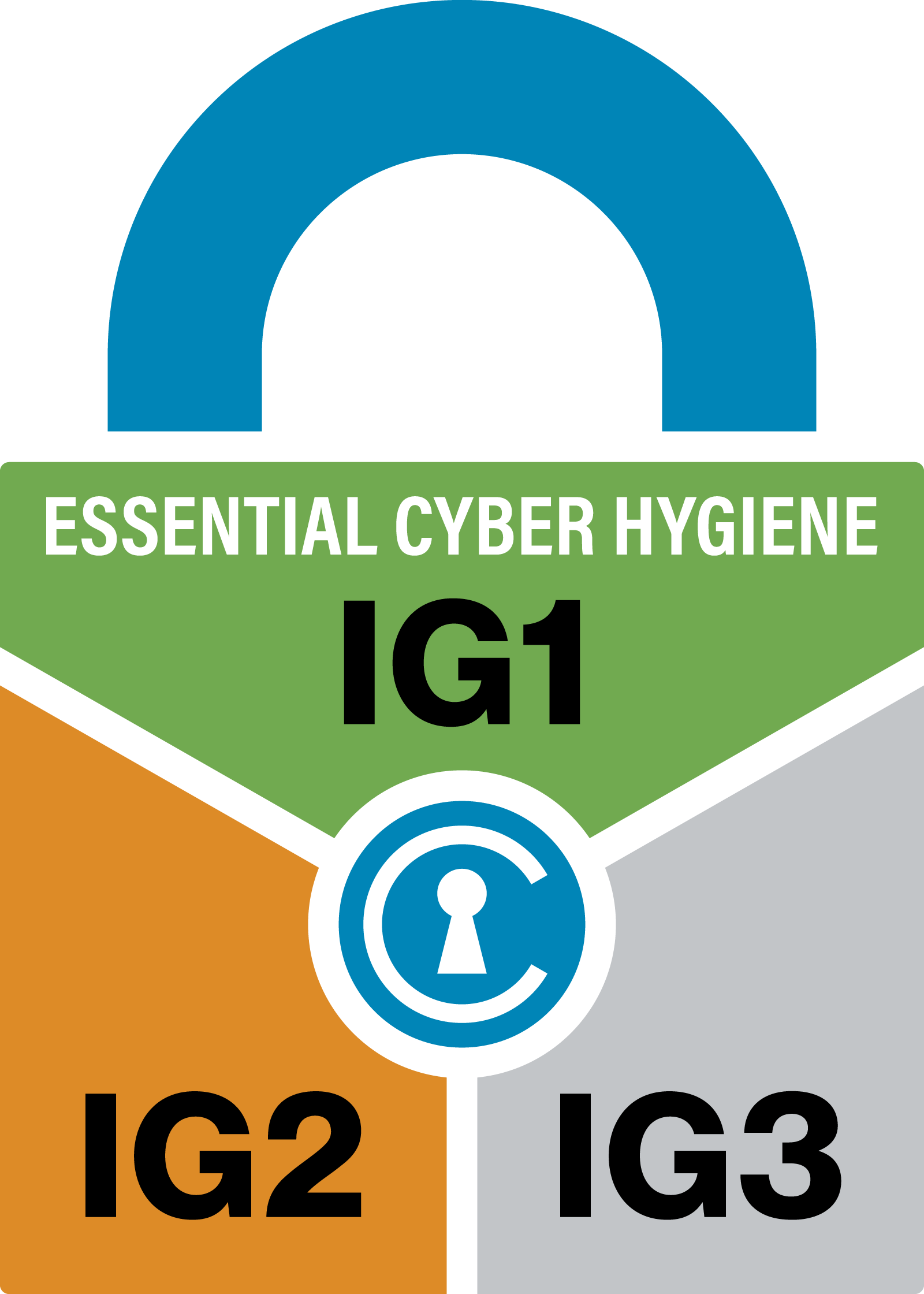 CIS Controls Implementation Group 2